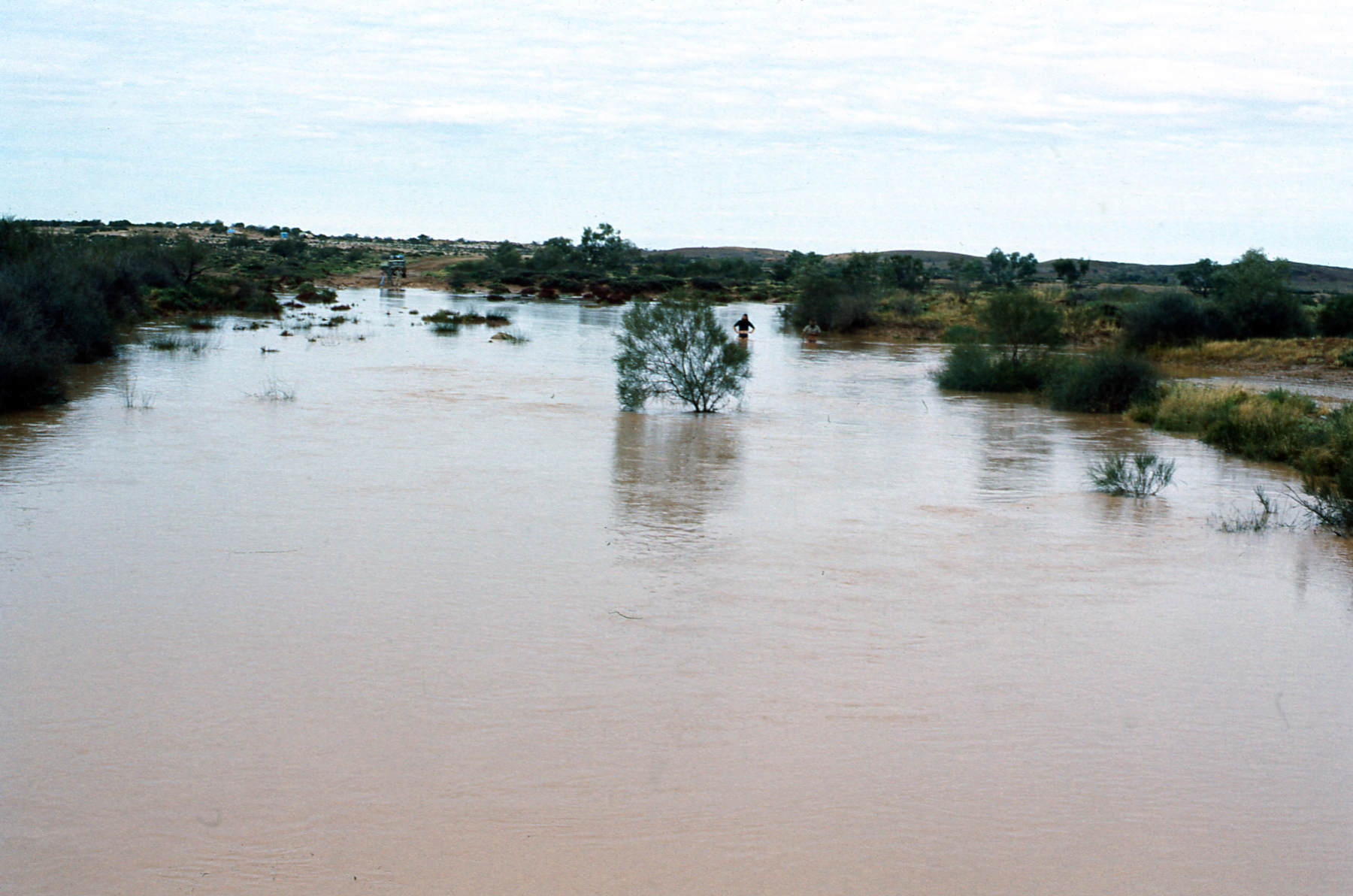 TEKTITES, LEIGH CREEK S.A., QUORN, S.A., ALGIEBUCKINER RIVER, RIVER ...